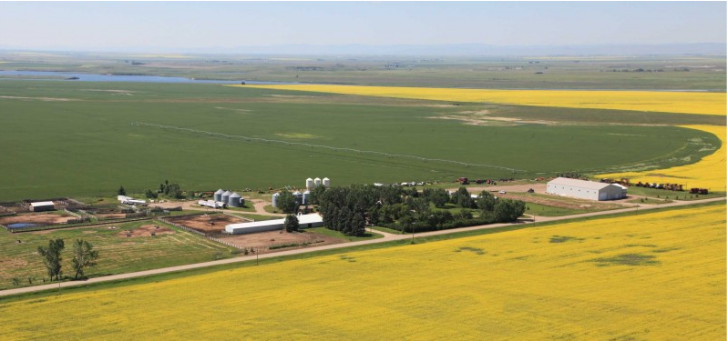RME Feature Customer – Twin Valley Farms | Vulcan, AB - RME